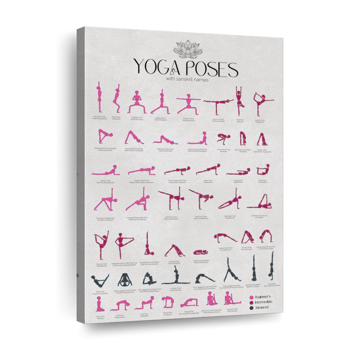 Trinx Yoga Poses Chart - Wrapped Canvas Print | Wayfair