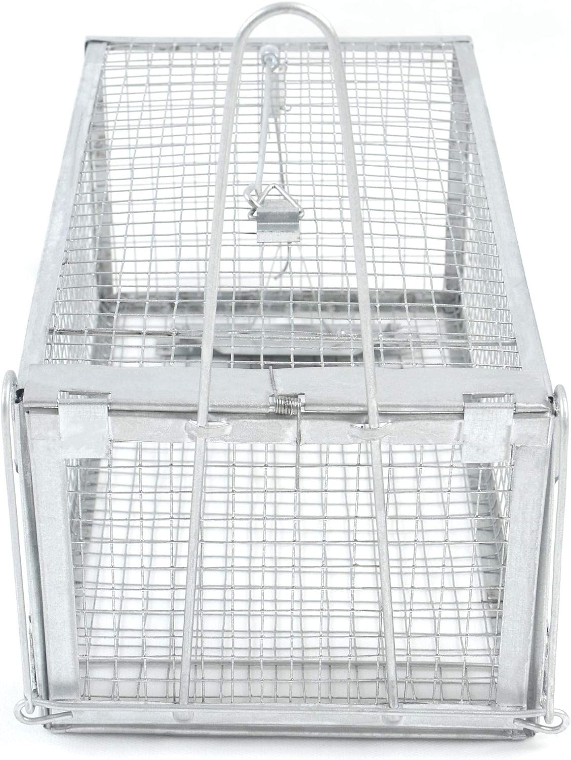 Tucker Murphy Pet™ Felipa Weather Resistant Mouse Cage - Wayfair Canada