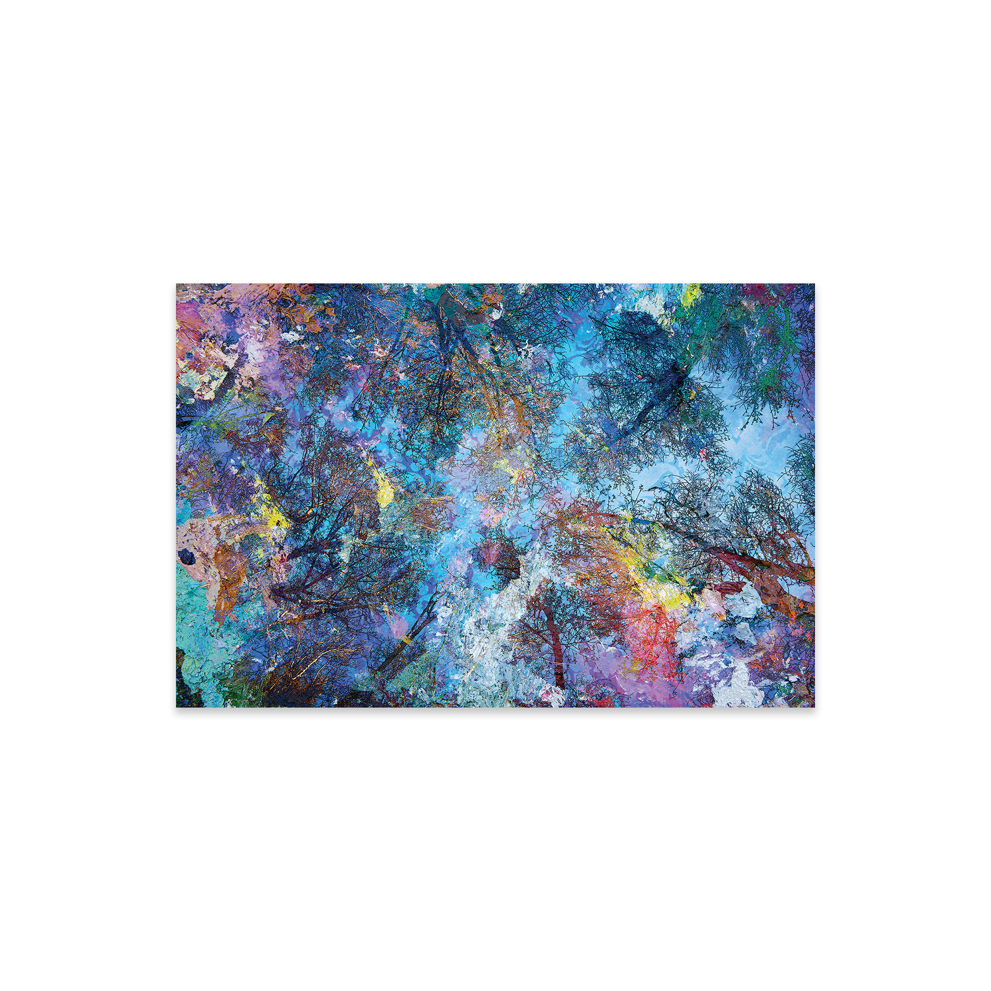 Millwood Pines Aristomenis Dreaming Up To The Trees On Plastic/Acrylic ...