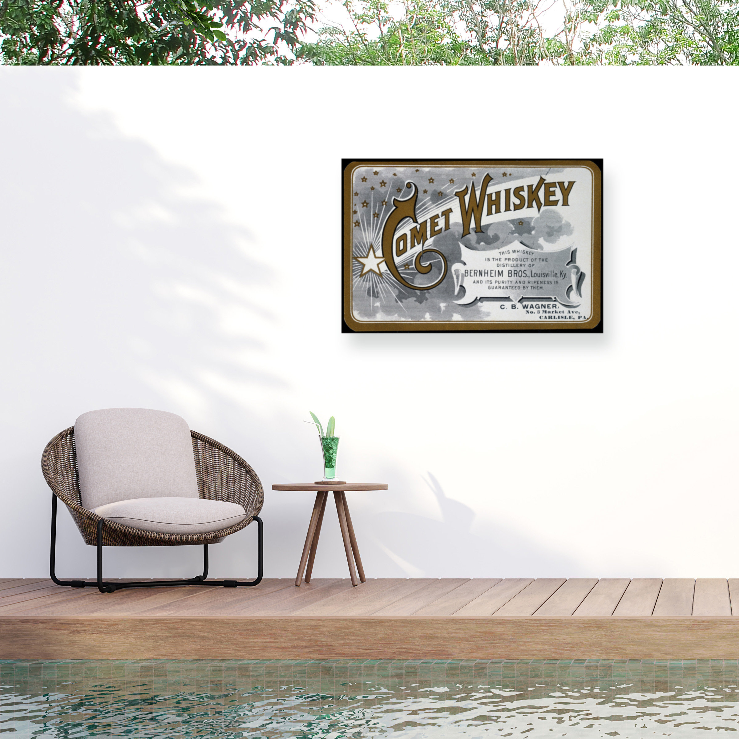 Winston Porter Marcus Jules Comet Whiskey Outdoor Canvas | Wayfair