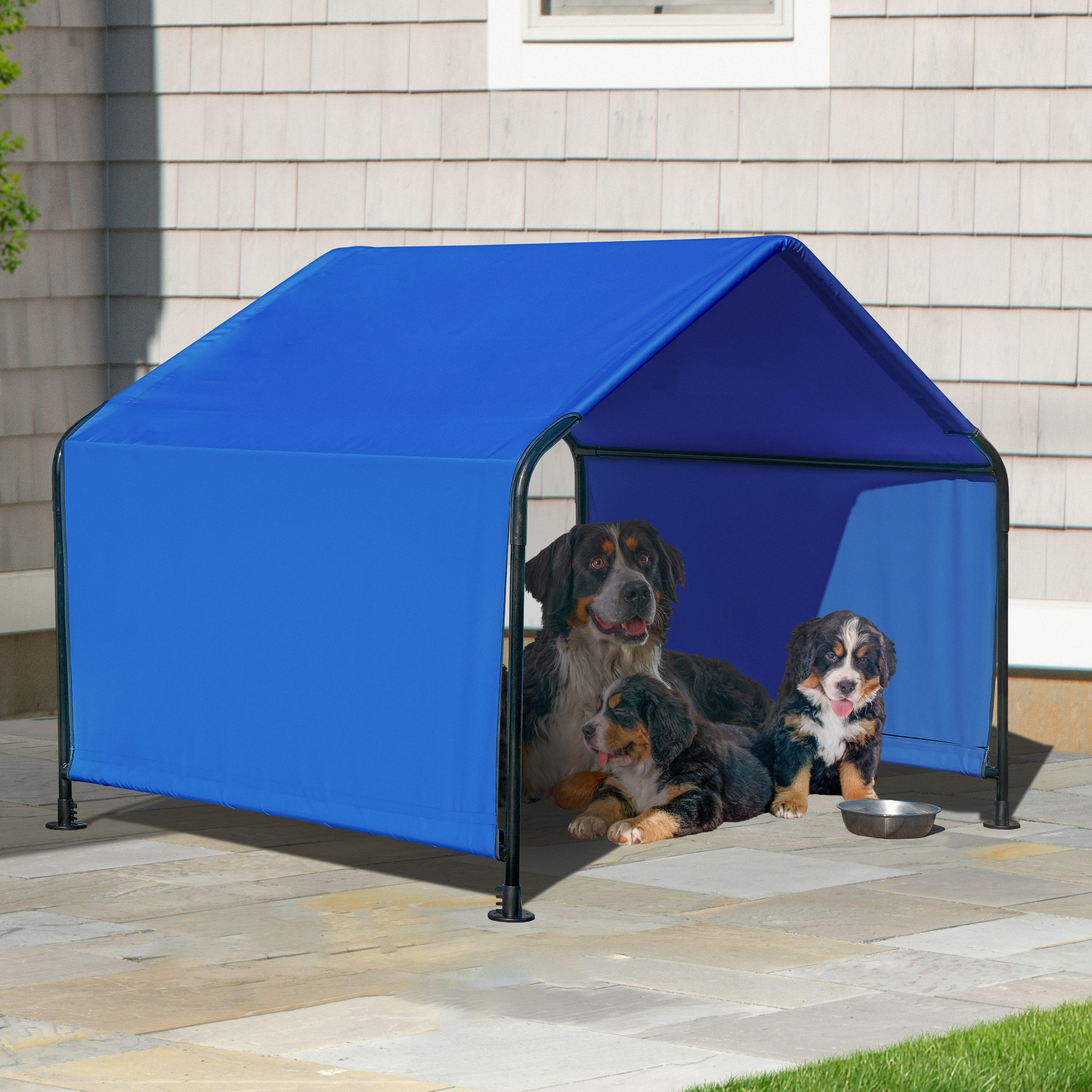 ShelterLogic Blue Dog Shade Canopy Pet Shelter & Reviews | Wayfair