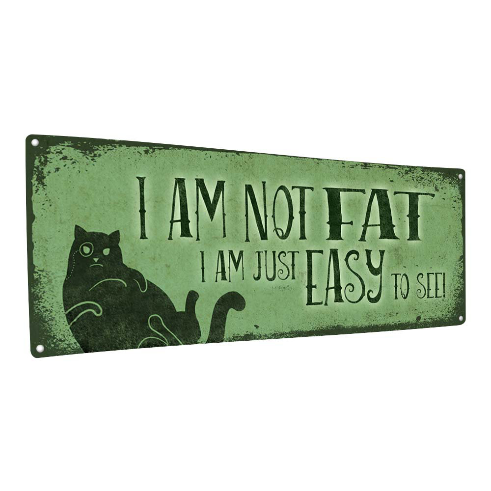 August Grove Funny, I Am Not Fat Metal Sign - Wayfair Canada