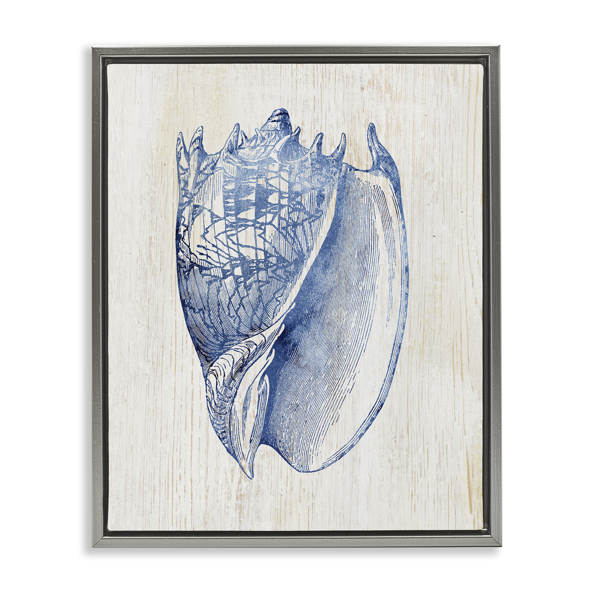 Breakwater Bay Nautical Soft Blue Conch Floating Frame, design by Susan ...