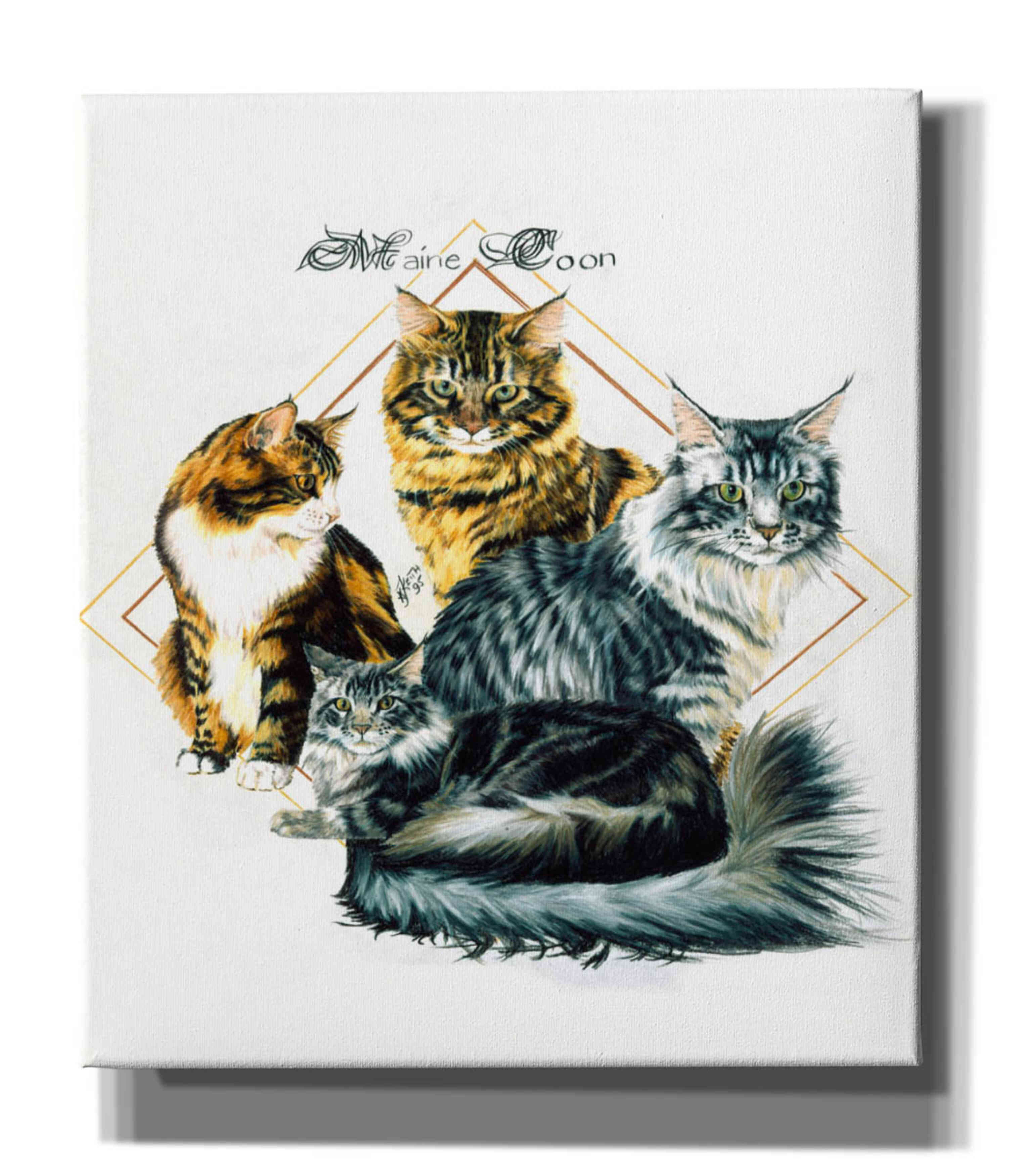 Red Barrel Studio® Maine Coon by Barbara Keith - Wrapped Canvas Print ...