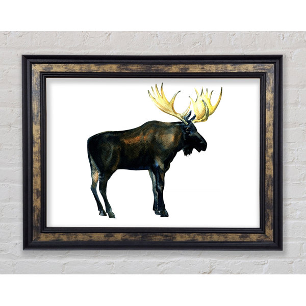 Bright Star Moose - Single Picture Frame Art Prints | Wayfair.co.uk