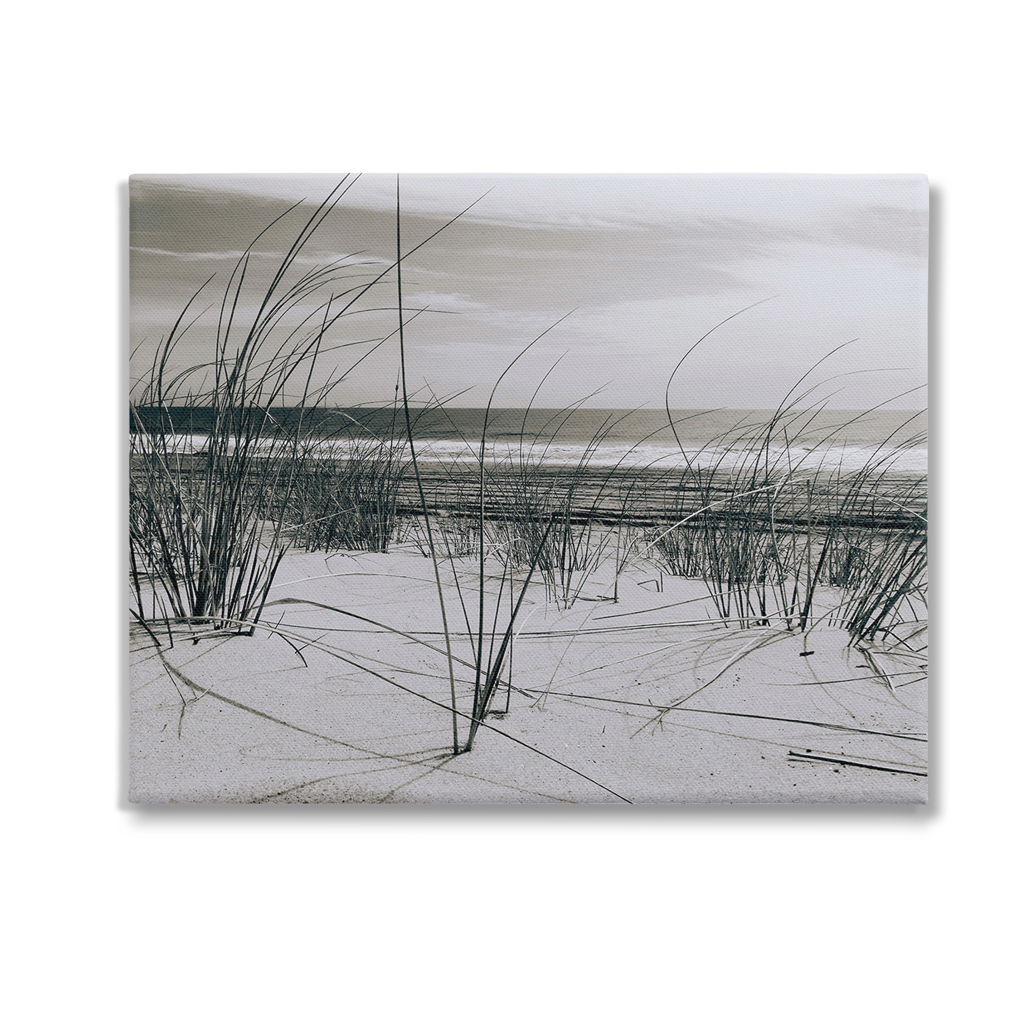 Highland Dunes " Subtle Beach Reeds " on | Wayfair