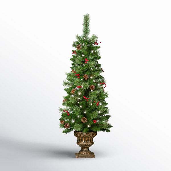 Haute Decor 4' Lighted Spruce Christmas Tree & Reviews | Wayfair