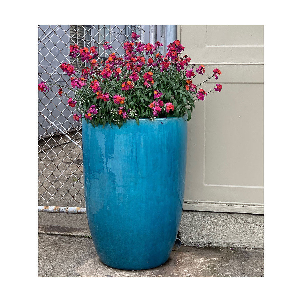 Le Beau 2 - Piece Clay Pot Planter Set - Wayfair Canada