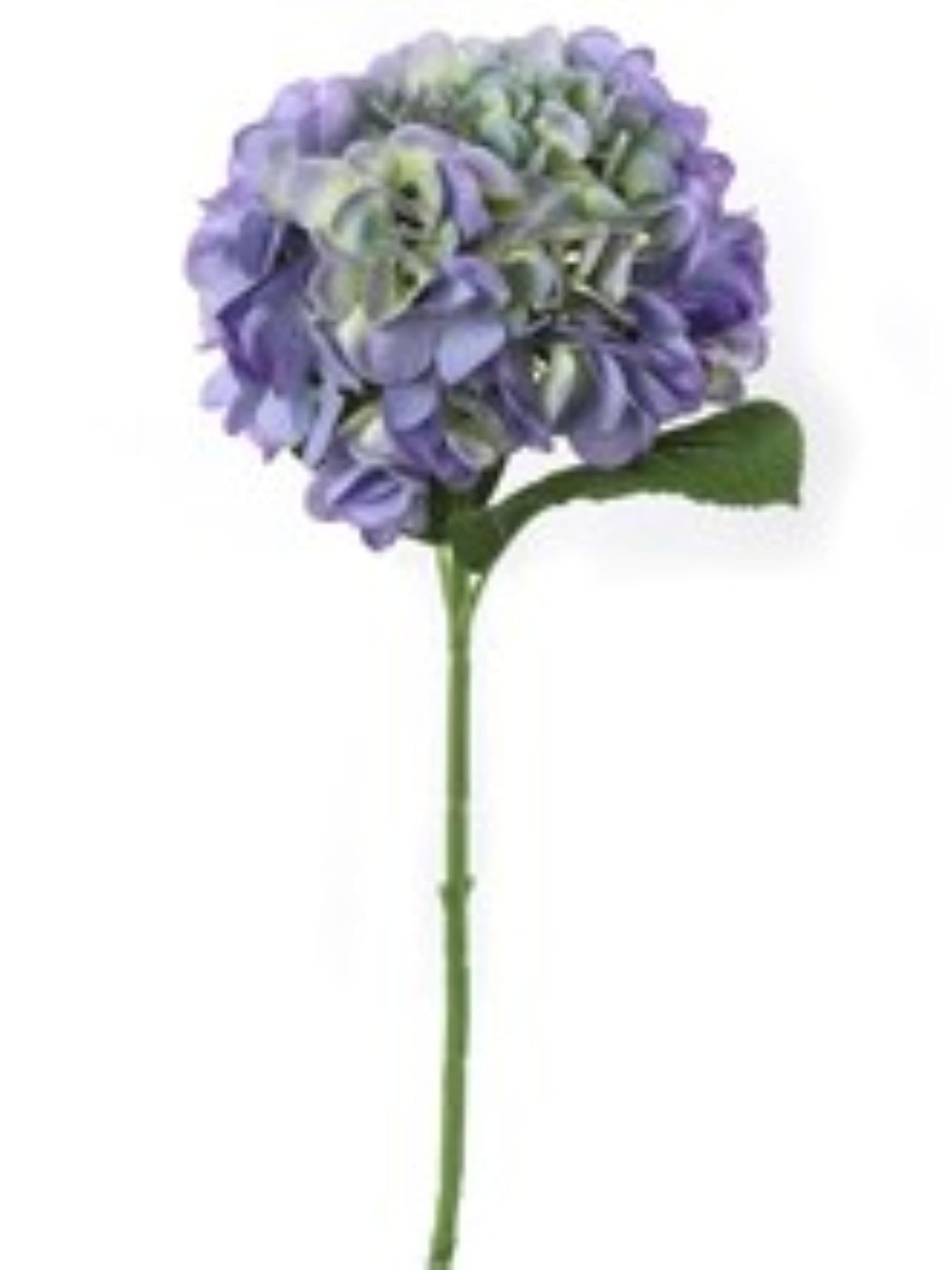 Winston Porter Charming 18-inch Periwinkle Hydrangea Stem - Enchanting 7-inch Diameter | Wayfair