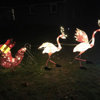 Sand & Stable Flamingo Reindeer with Sleigh Lighted Display & Reviews ...