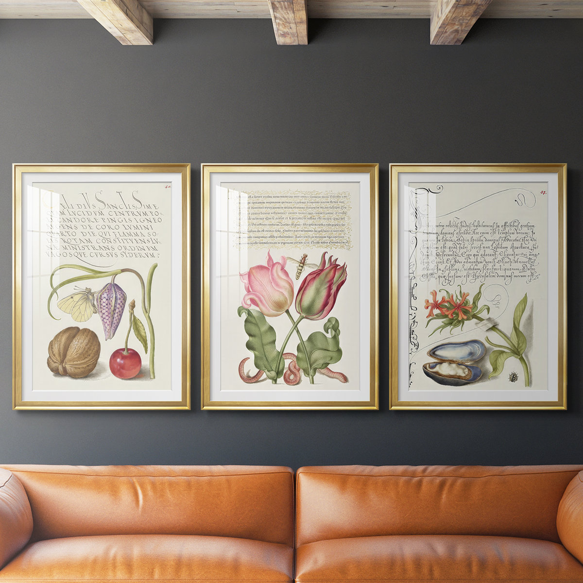 Wildon Home® Hoefnagel Tropical Specimens IX -Custom Framed Premium ...