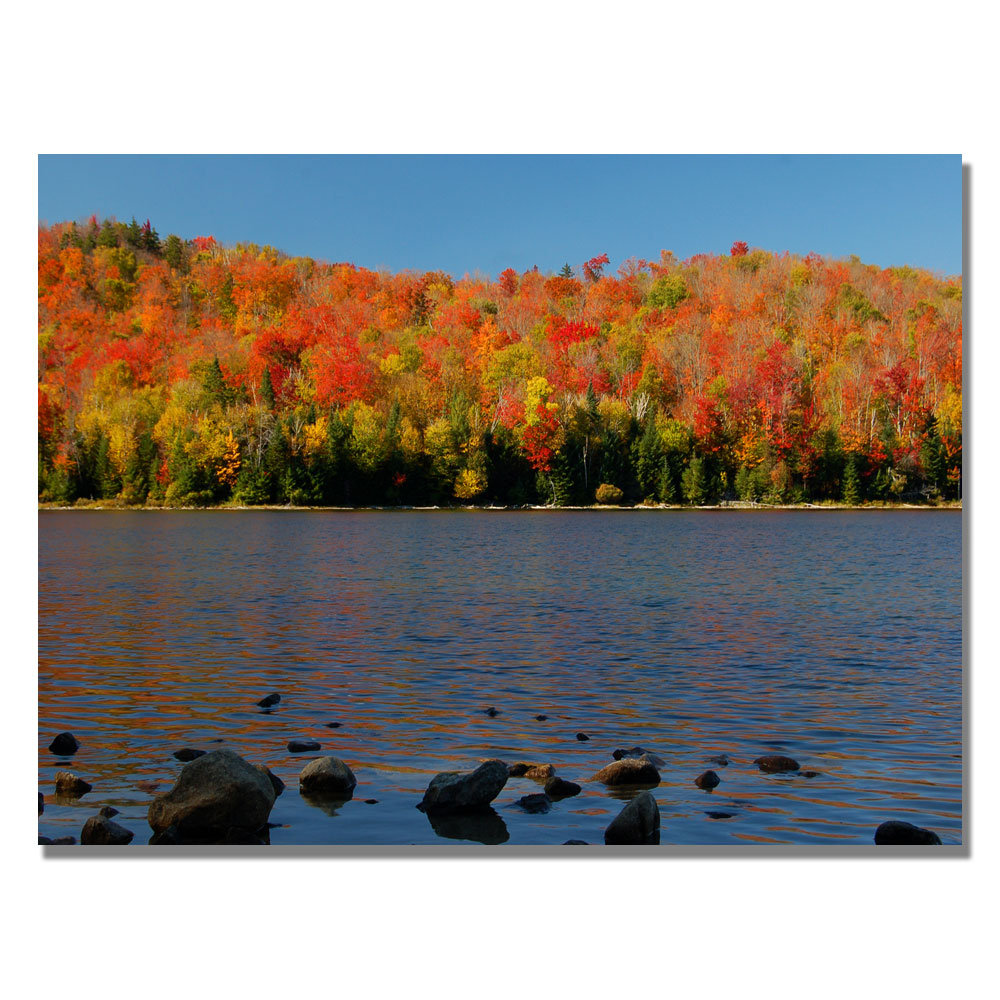 Hokku Designs 'The Adirondack Heart Lake' by Nicole Dietz Framed ...