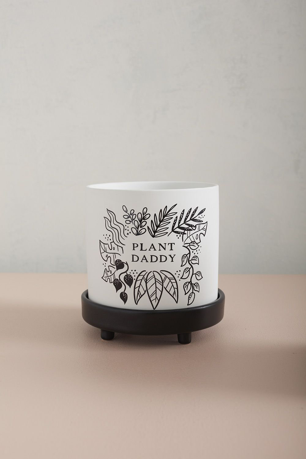East Urban Home Plant Daddy Pot | Wayfair
