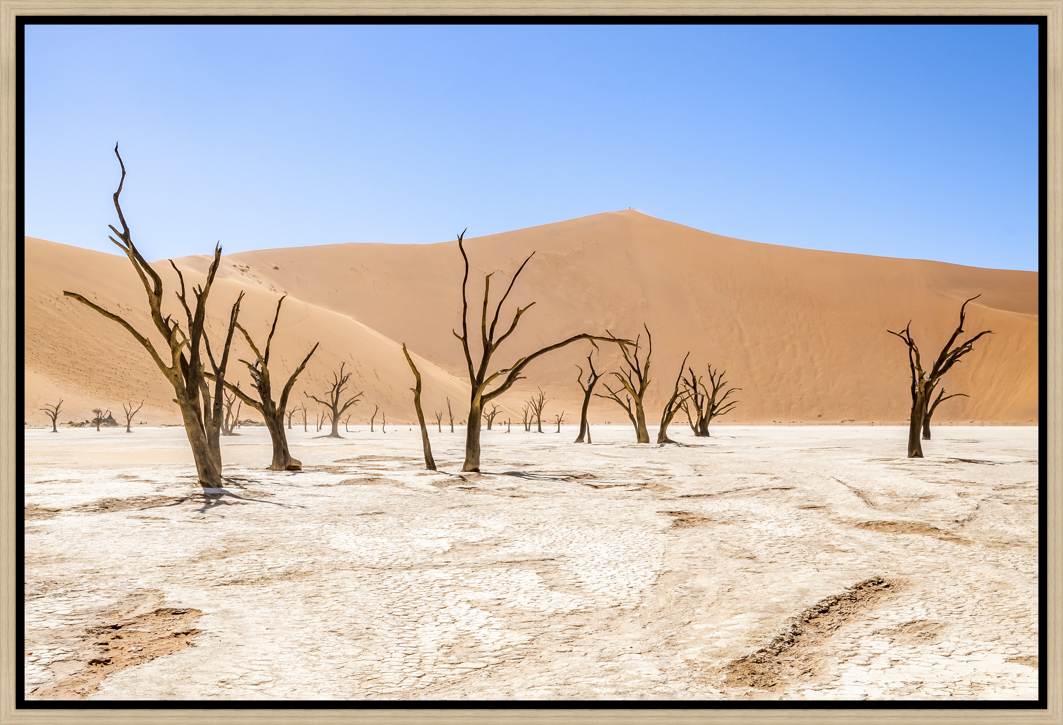 Chelsea Art Studio Namibian Skeleton Trees XI by Richard Silver ...