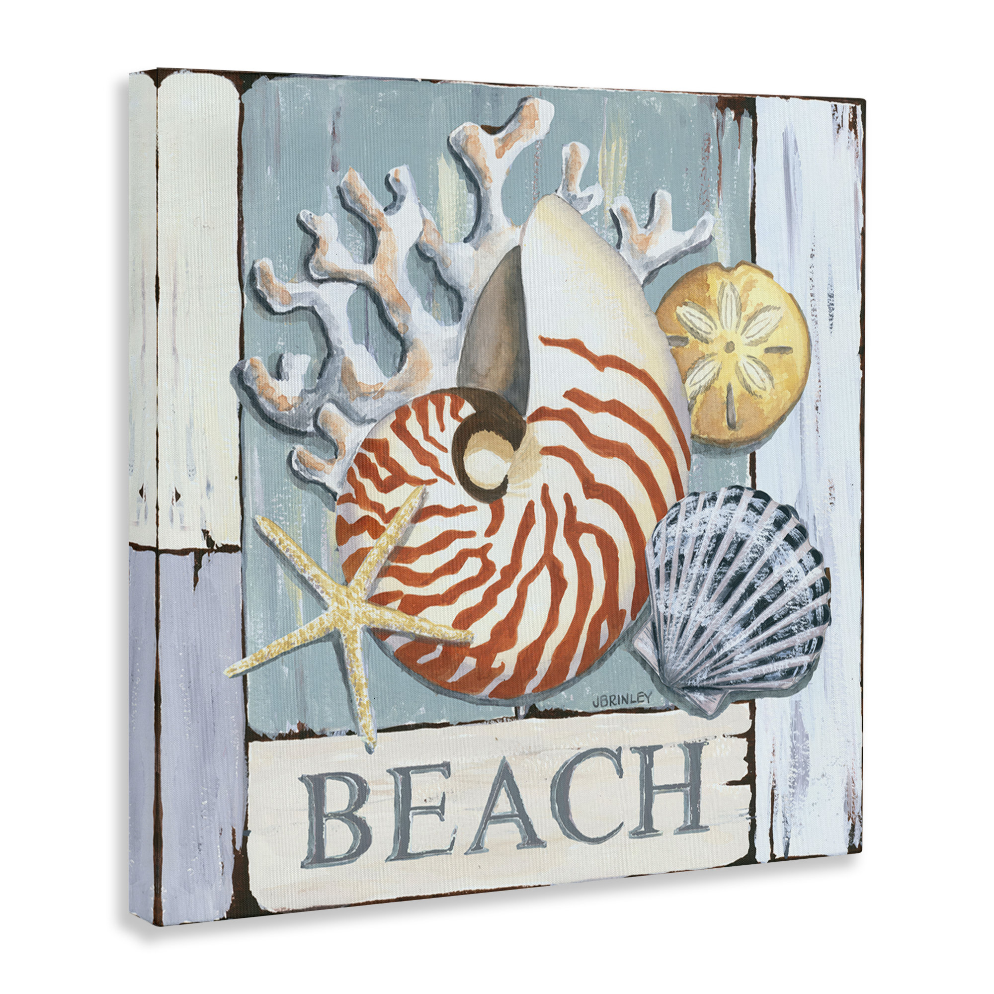 Highland Dunes Distressed Beach Shells Canvas Wall Art by Jennifer ...