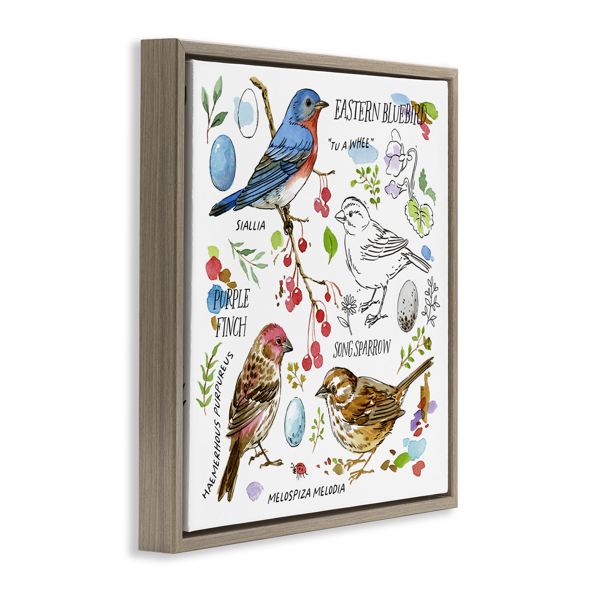 Lark Manor™ Woodland Birds Diagram Framed Floater Canvas Wall Art by ...