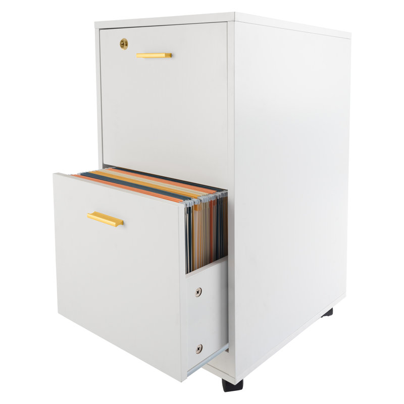 Ebern Designs 2 Drawer File Cabinet - Filing Cabinet with Lock ...