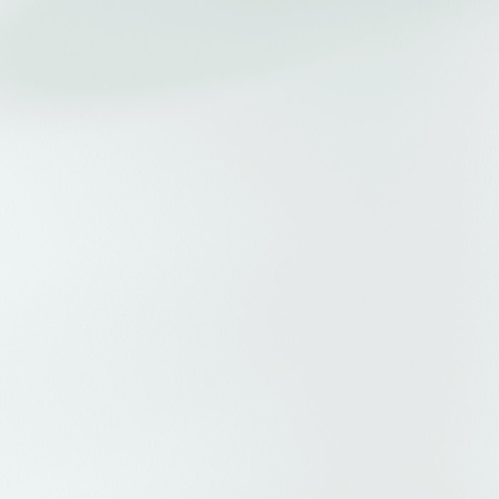 Winston Porter Keilyn Daybed with Trundle & Reviews | Wayfair