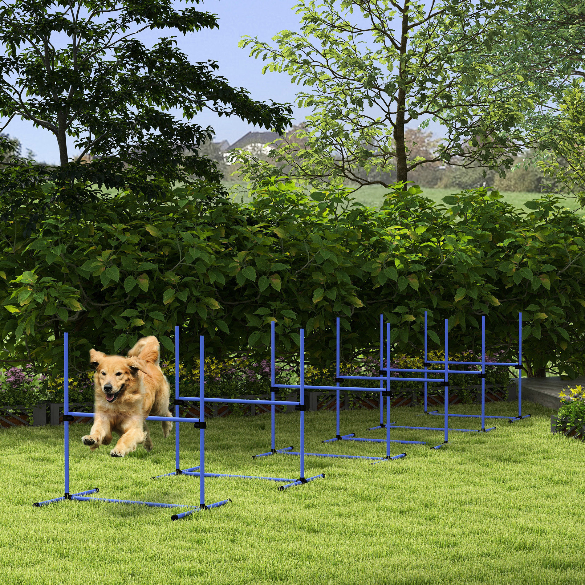 Tucker Murphy Pet™ Blue Dog Agility Training Tools With 6 Piece ...