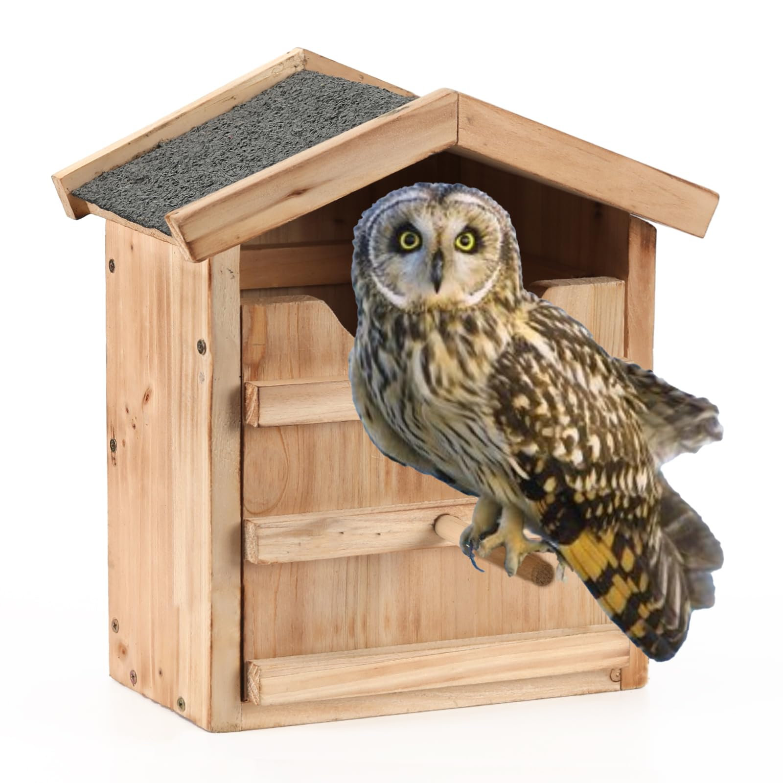Rosalind Wheeler Owl House Prebuilt Owl Box For Outside Screech Owl ...