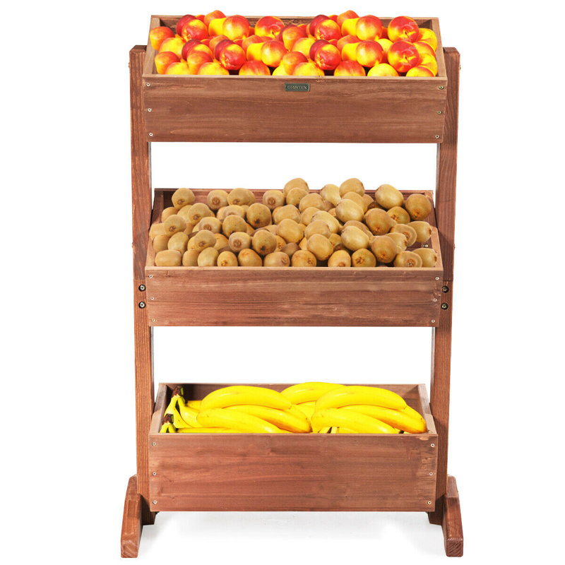 Gracie Oaks Drost Tier Raised Garden Vertical Freestanding Elevated ...