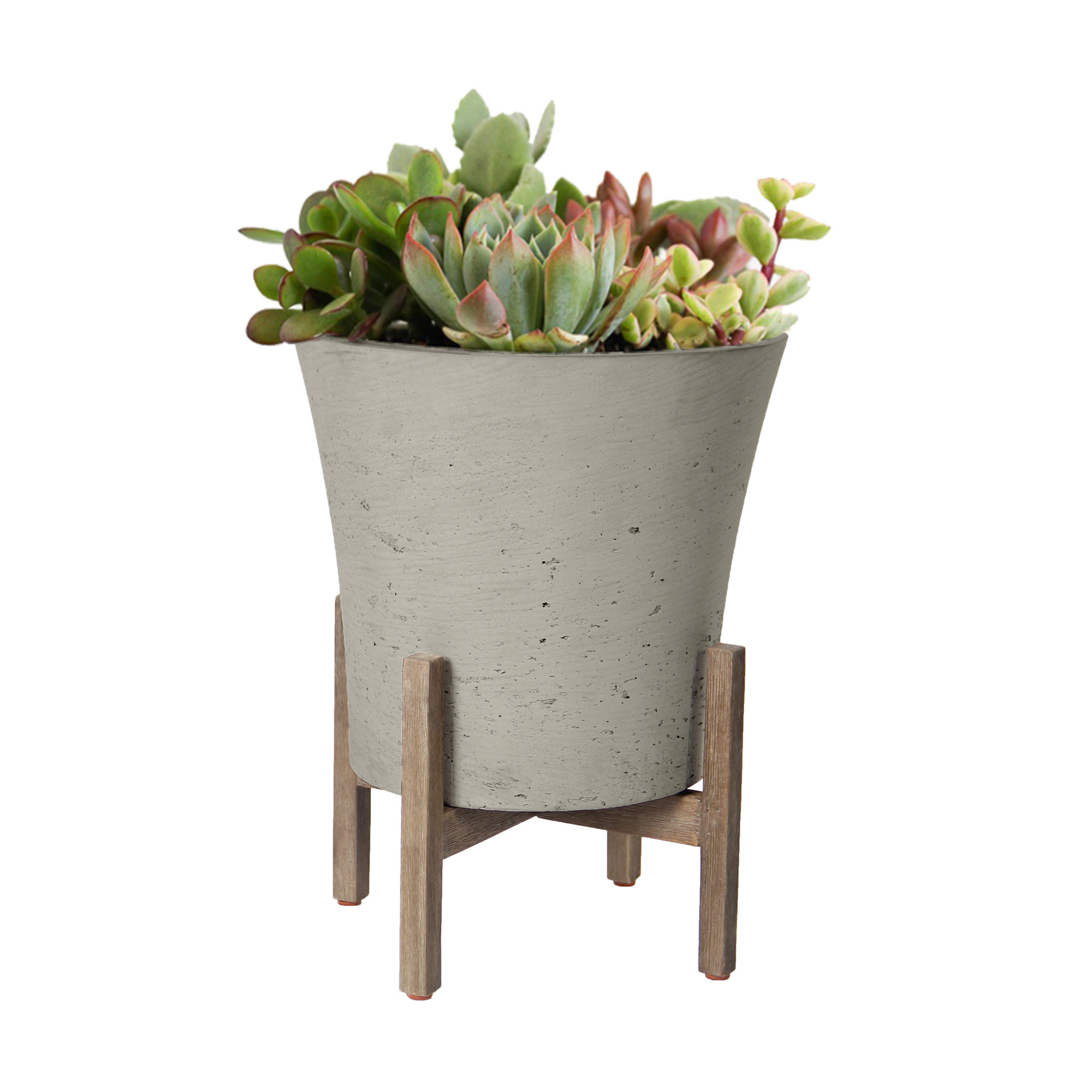 Gracie Oaks Marqueeta Standing Pot | Wayfair