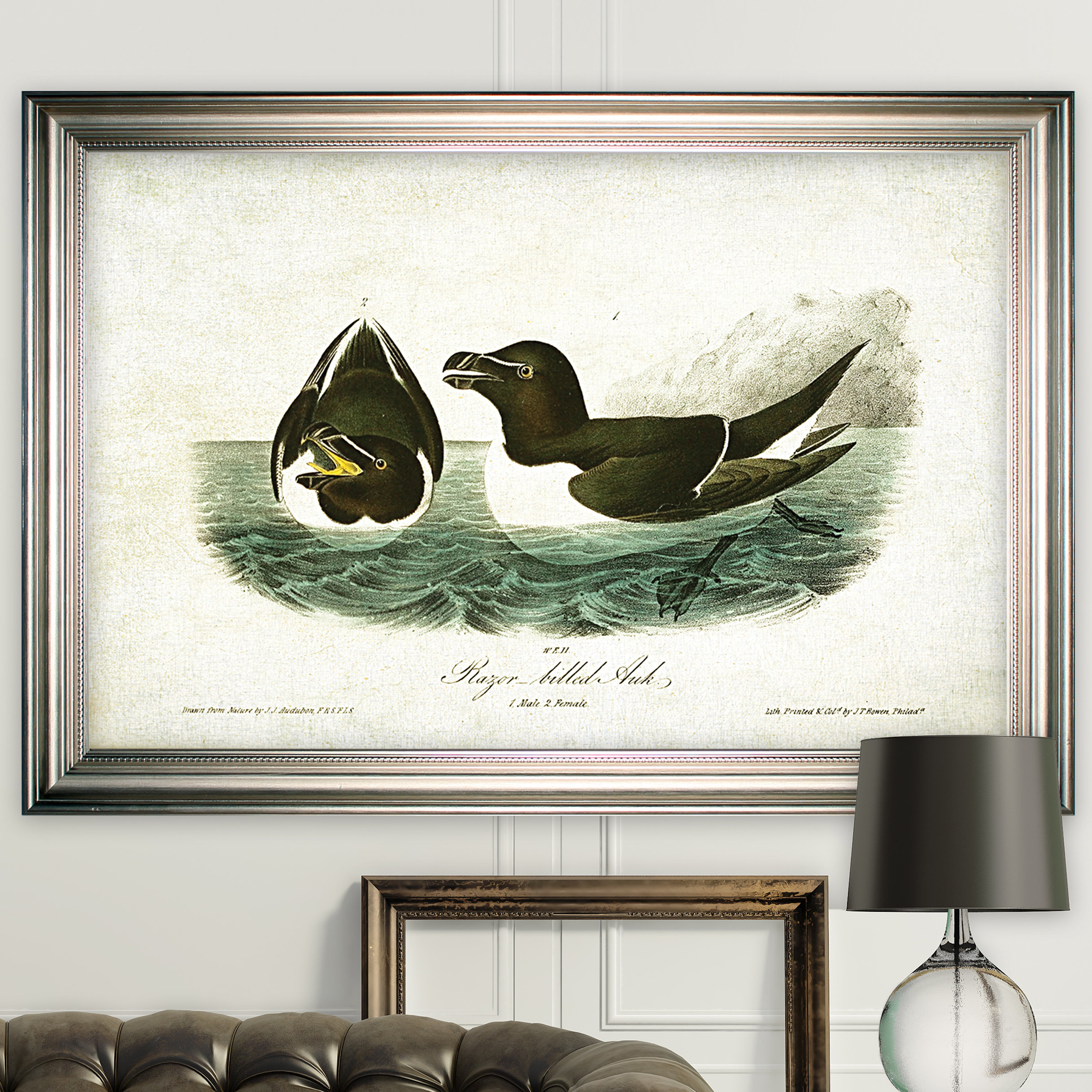 Longshore Tides 'Aviary Drawing IV' Graphic Art Print | Wayfair