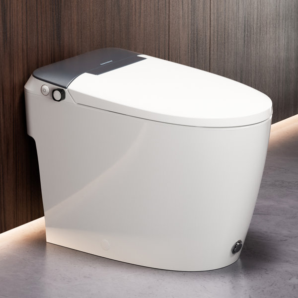 Bidet Toilets | Toilet With Built In Bidet & Fancy Toilet With Bidet