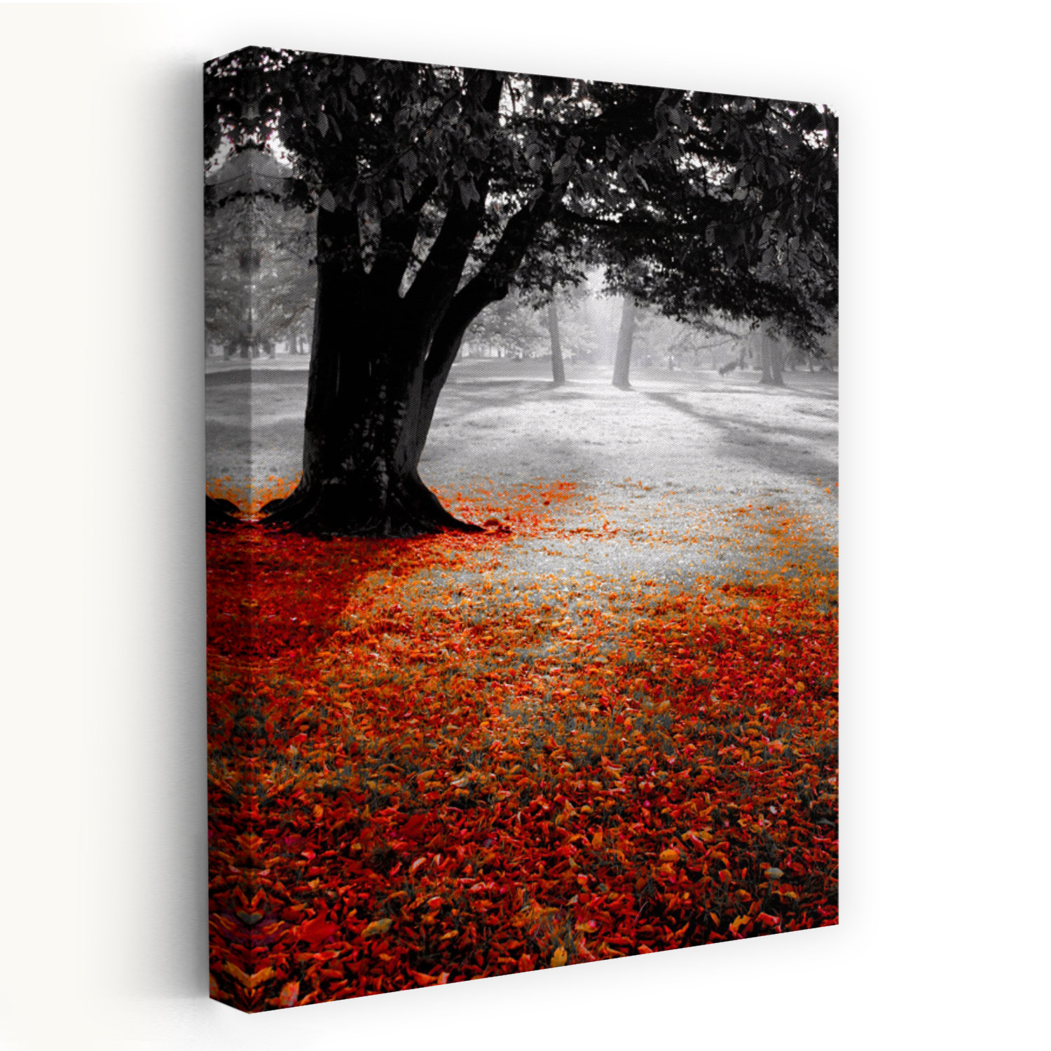 Alcott Hill Autumn Contrast - Landscapes Photography Trees Art ...