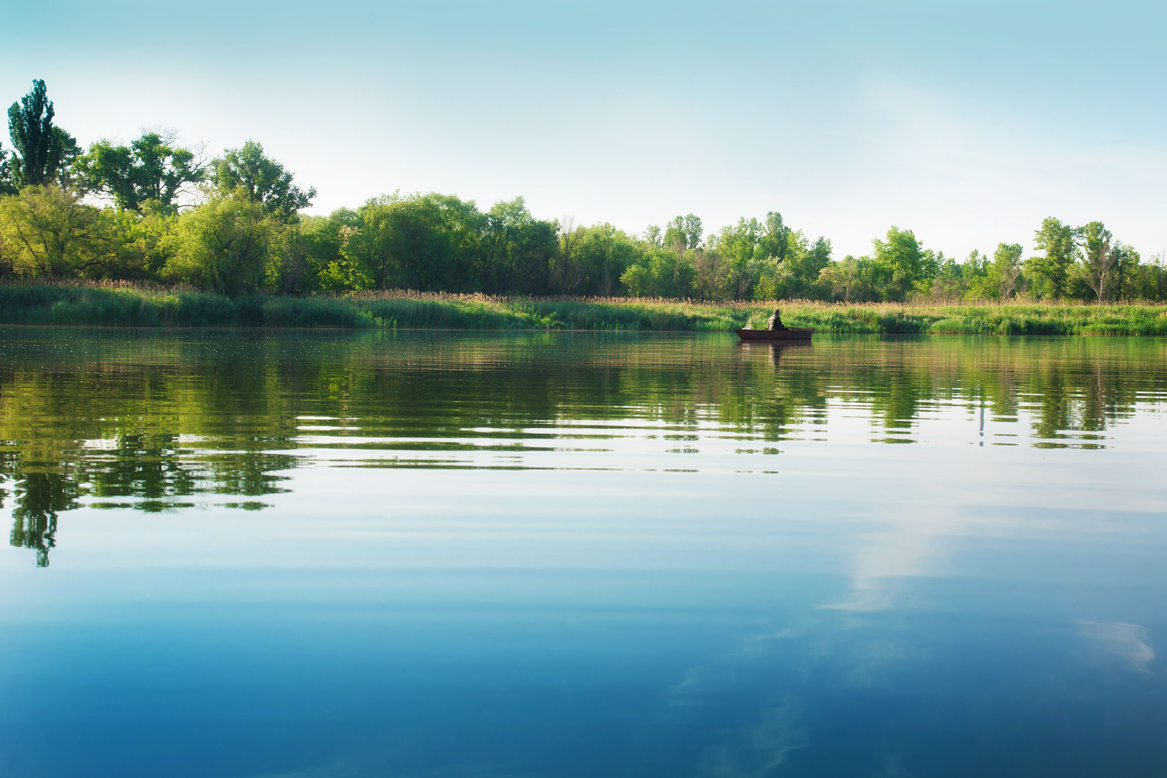 Millwood Pines Landscape With A Lake by Murika - Wrapped Canvas ...