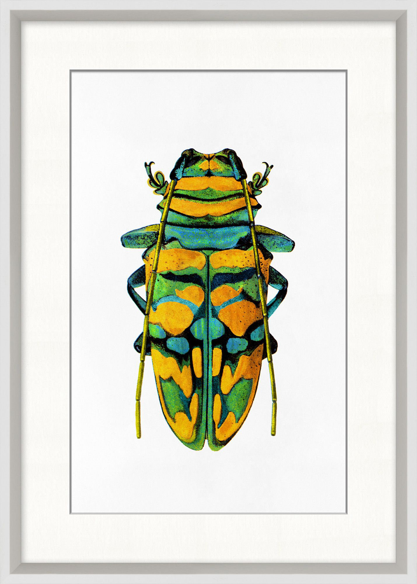 Wendover Art Group Rainbow Insect 6 | Perigold