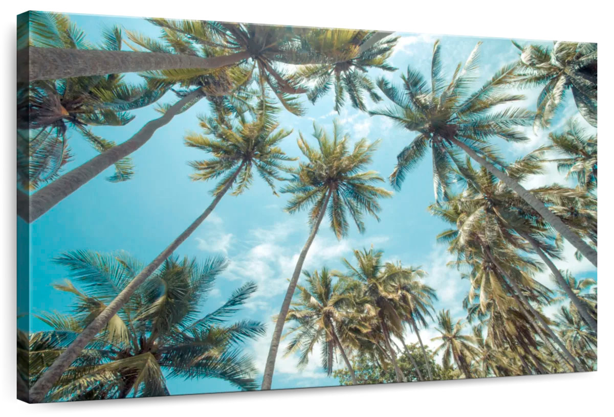 Lark Manor™ Harnek Tropical Palm Trees - Wayfair Canada