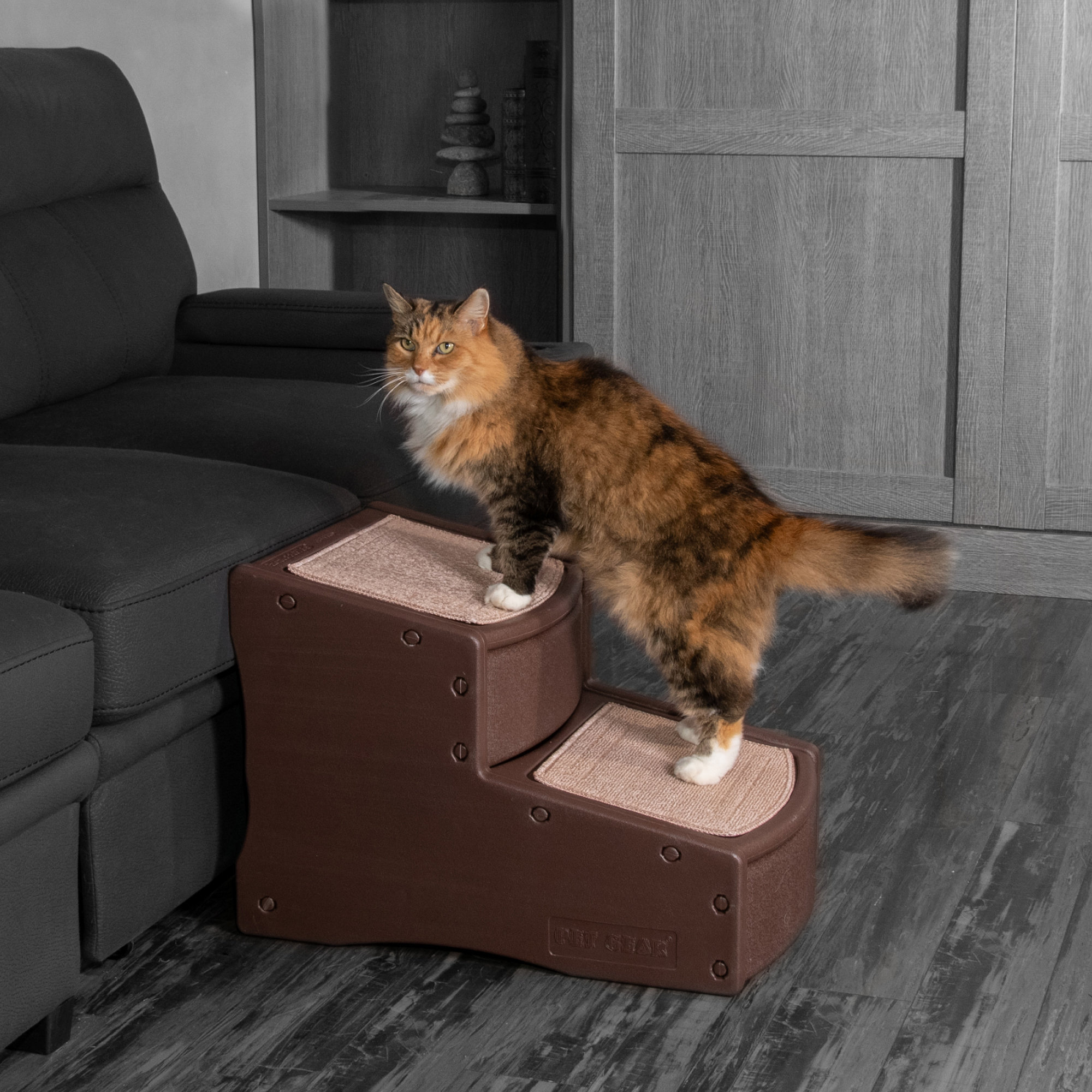 Pet Gear Stairs With 2 Steps - Wayfair Canada