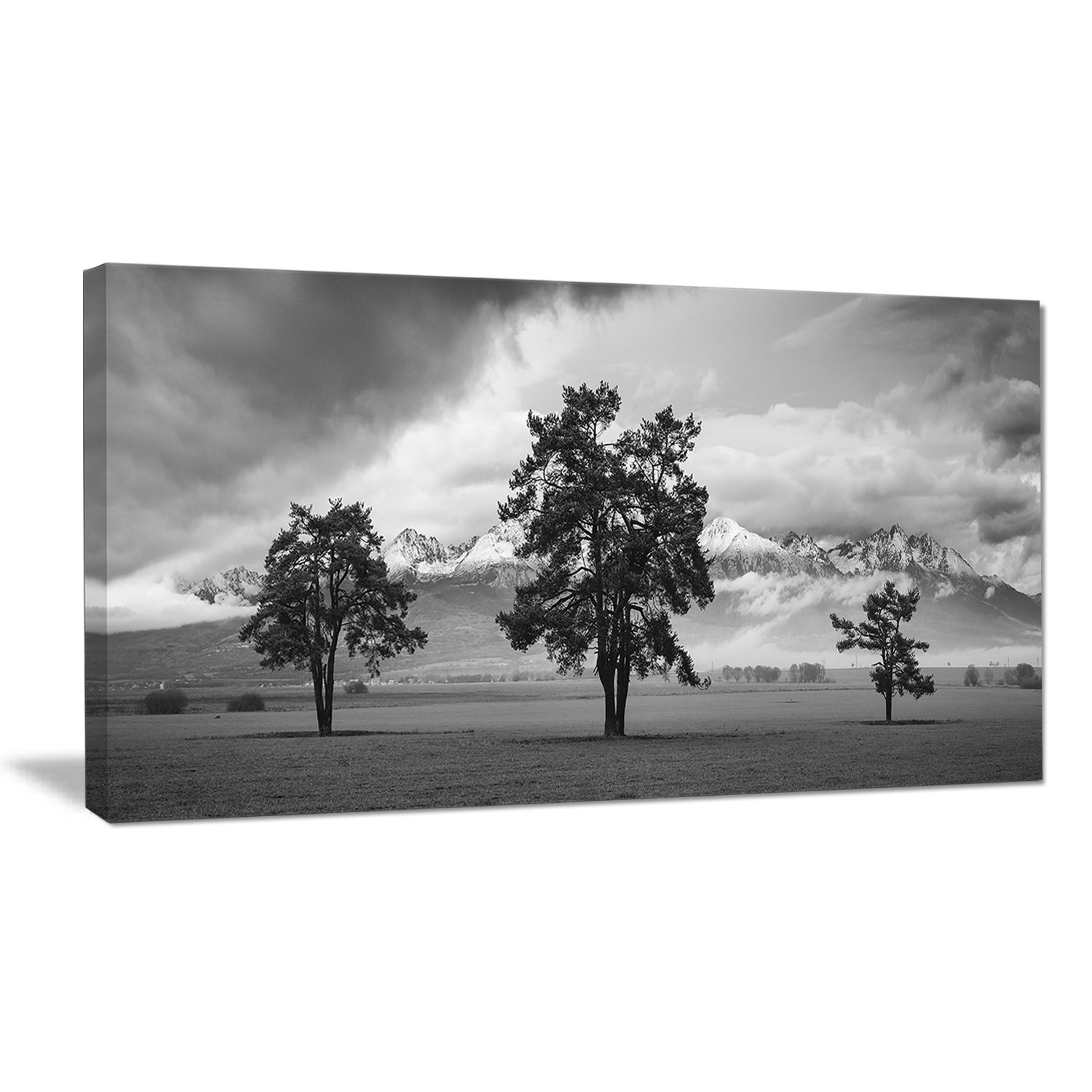 Winston Porter Three Trees in Front of Mountains - Wrapped Canvas ...