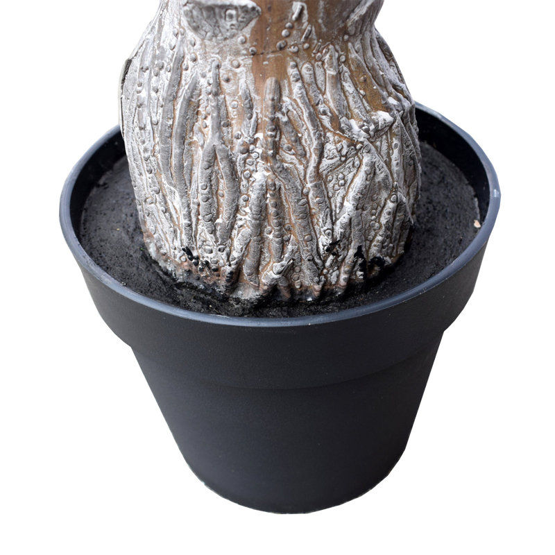 Primrue 82'' Palm Tree in Pot | Wayfair