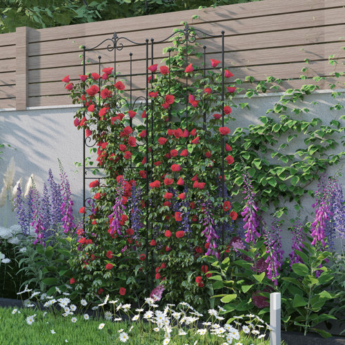 Trellises You'll Love | Wayfair