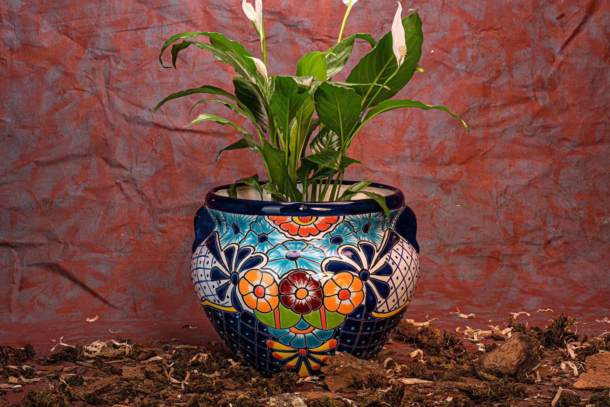 Tierra Firme Talavera Chata Ceramic Pot Planter & Reviews - Wayfair Canada