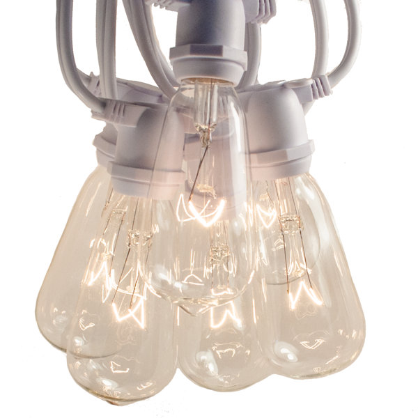 Arlmont & Co. Commercial Edison String Lights Outdoor Plug-in String ...