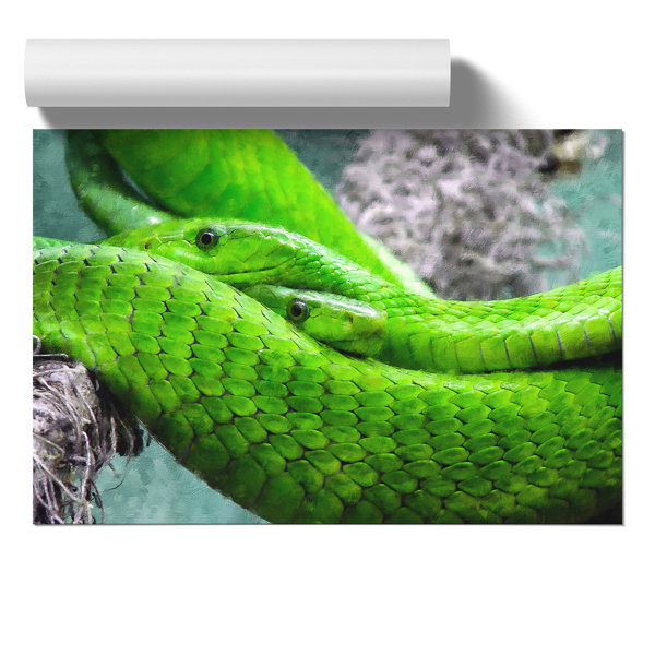 East Urban Home Green Mamba Snakes - No Frame Art Prints | Wayfair.co.uk