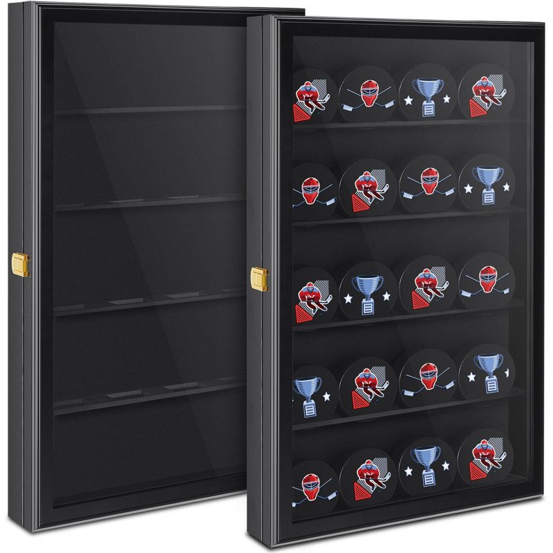 ARMIJU 2-Piece 20 Hockey Puck Display Case Wall | Wayfair