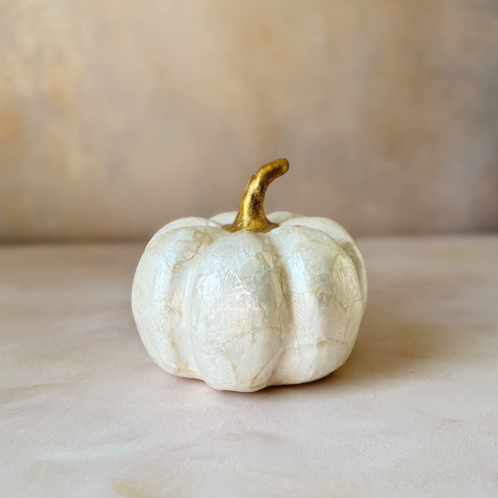 The Holiday Aisle® Capiz Ivory Pumpkin - Wayfair Canada