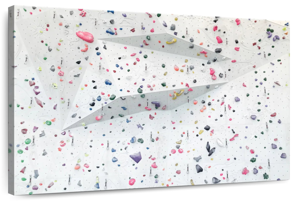 Ebern Designs Sireci Climbing Footholds - Wayfair Canada