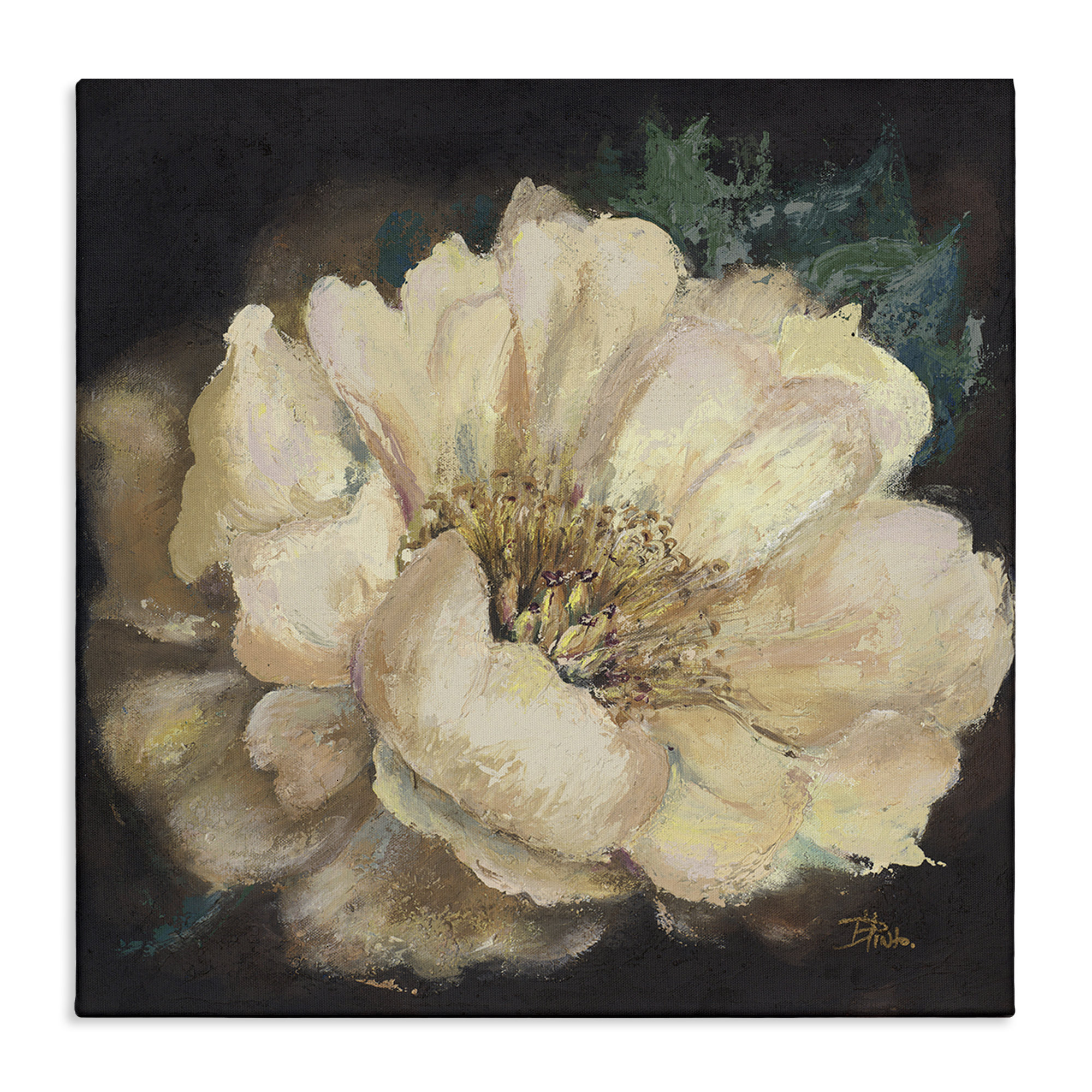 Winston Porter Blooming White Magnolia Canvas Wall Art by Patricia ...