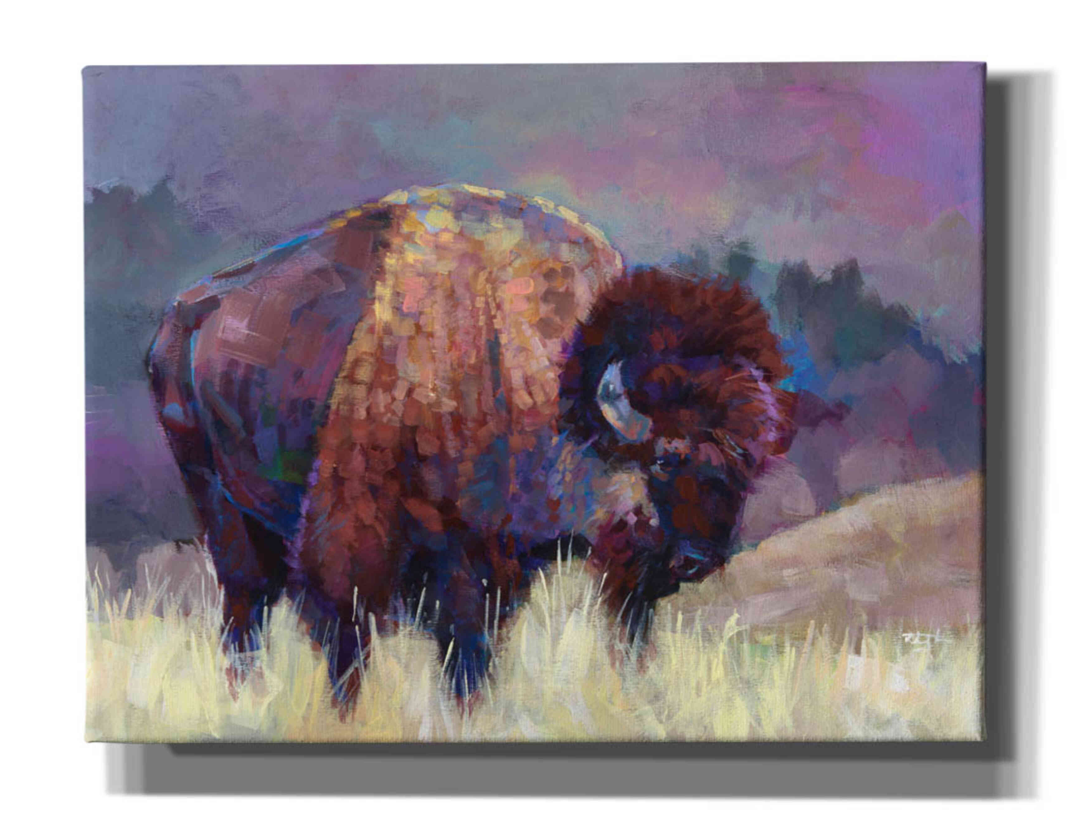 Millwood Pines Epic Graffiti 'Buffalo Roam' By Robert Jackson, Ca ...