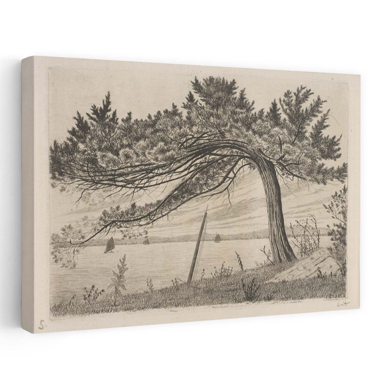 Alcott Hill® Pelham Bay - Vintage Black And White Etching Tree By Lake ...