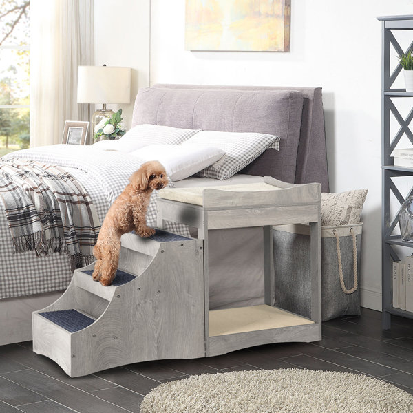 Dog Ramps & Stairs You'll Love - Wayfair Canada