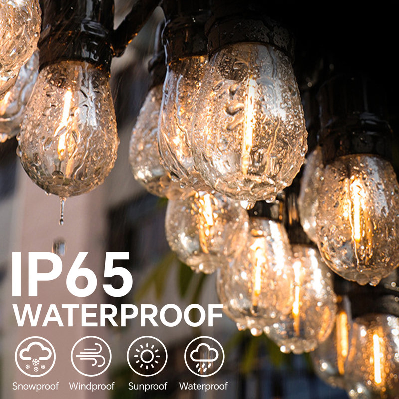 Arlmont & Co. Kanora LED Globe String Lights Outdoor Decorations 48FT ...