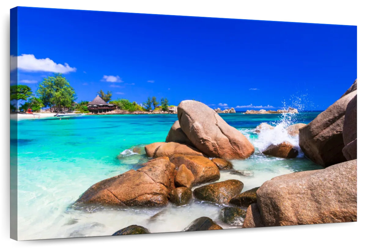 Elephant Stock Seychelles Tropical Island | Wayfair