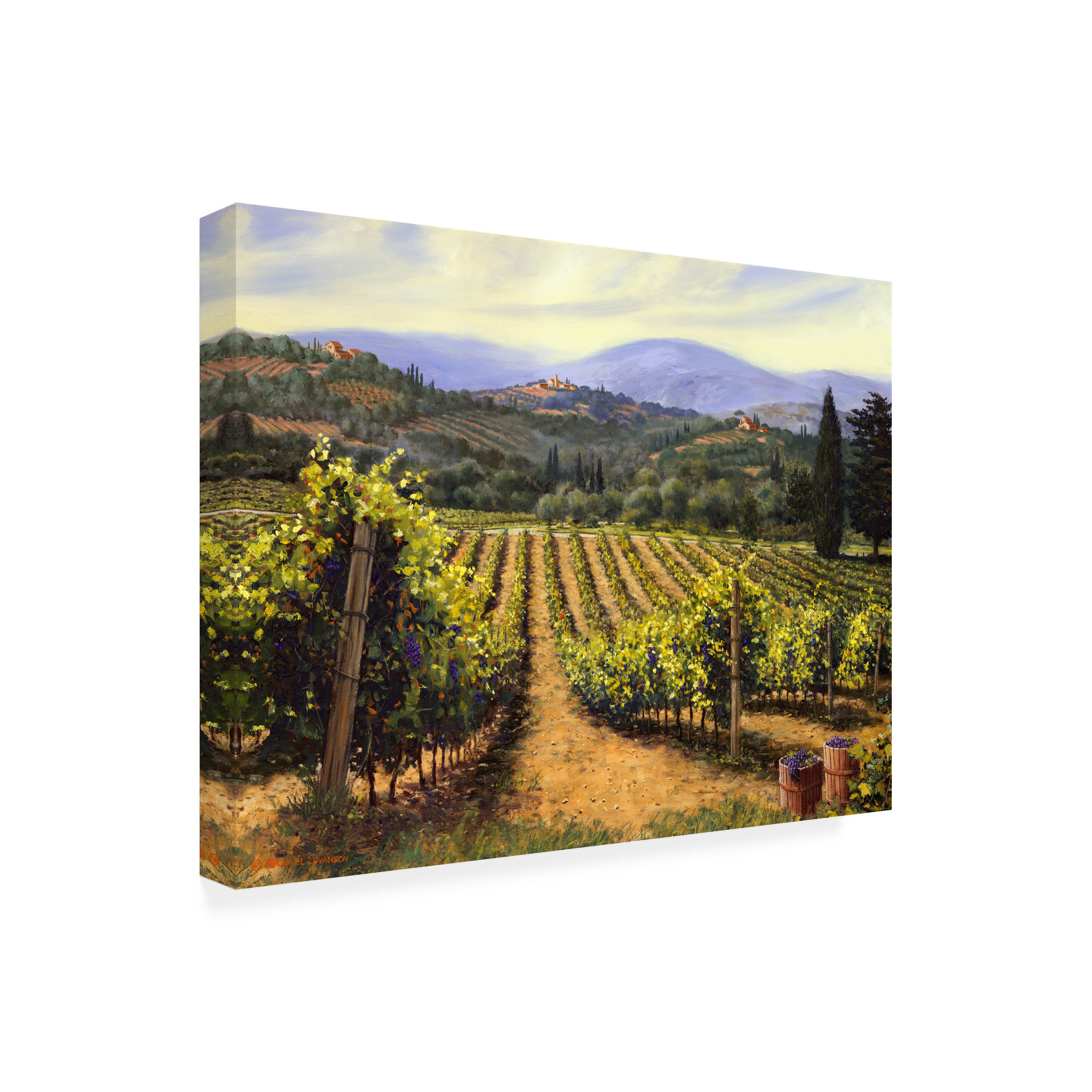 Millwood Pines Michael Swanson 'Tuscany VInes' Outdoor Canvas | Wayfair