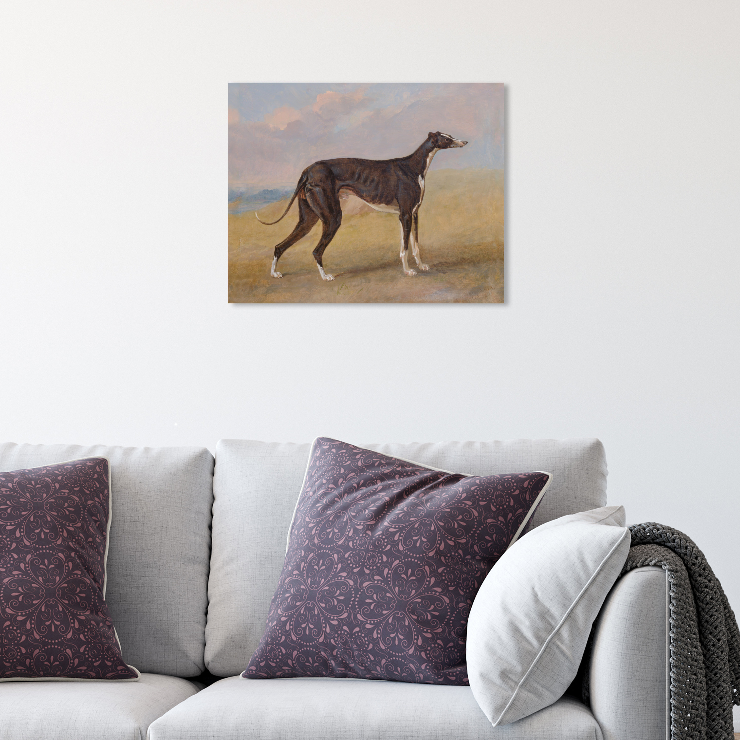 Oliver Gal Turk a Greyhound Dogs and Puppies by George Garrad ...